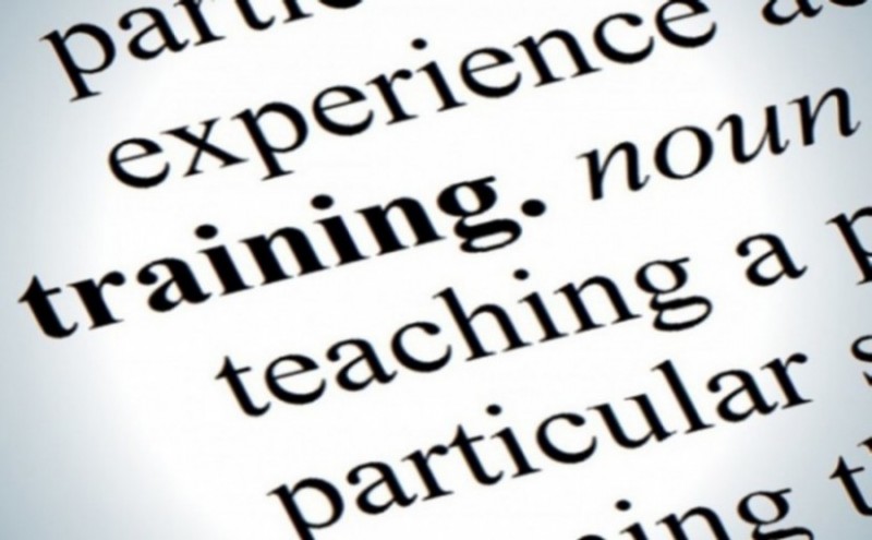 Intern Orientation- Plan A Successful Internship Orientation | TeamBonding