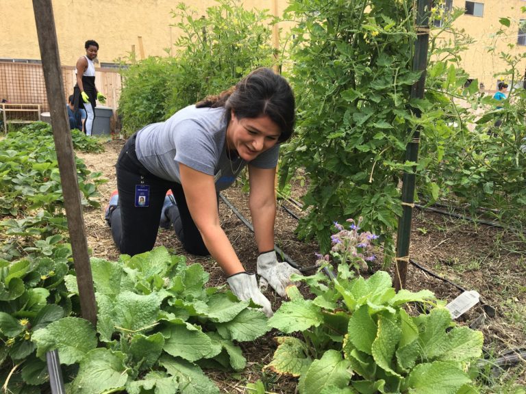 8+ Spring Team Building Activities for 2025 | TeamBonding