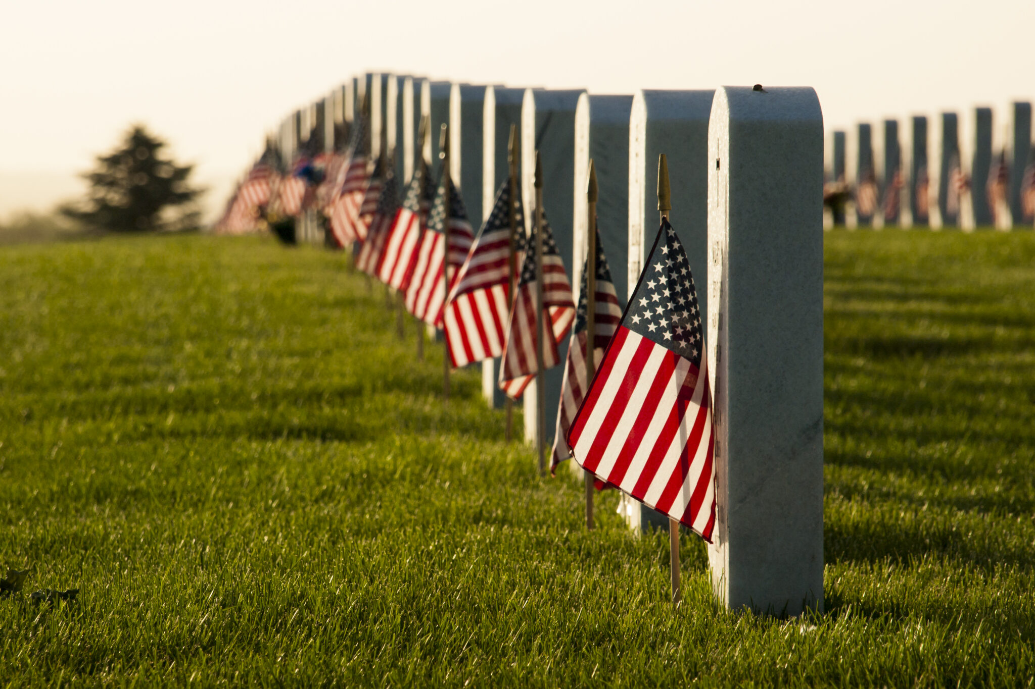 Top 8 Memorial Day Ideas for Work | TeamBonding