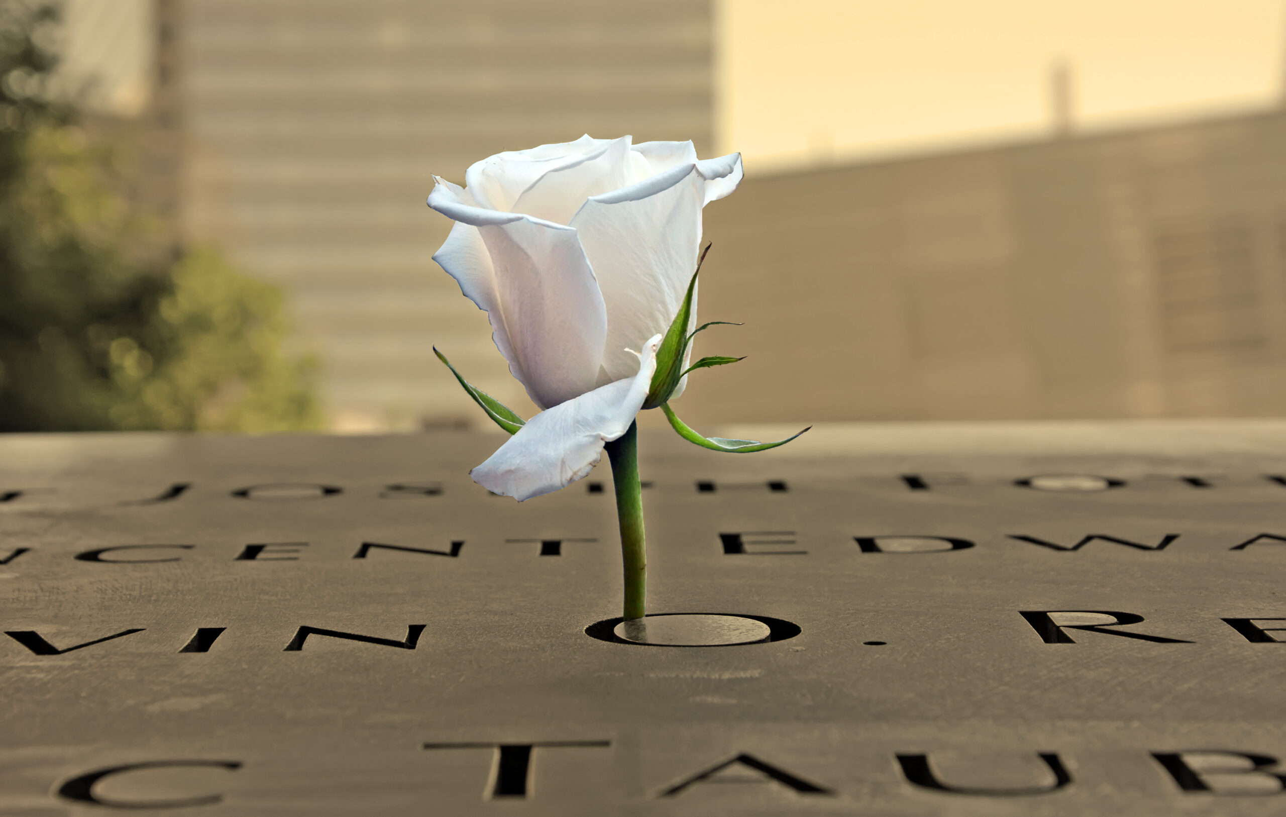 How Can We Honor 9/11? | Work Remembrance | TeamBonding